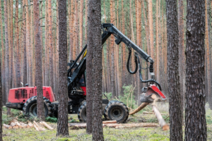 Timber Industry News for Forest Owners | Forest Data Network