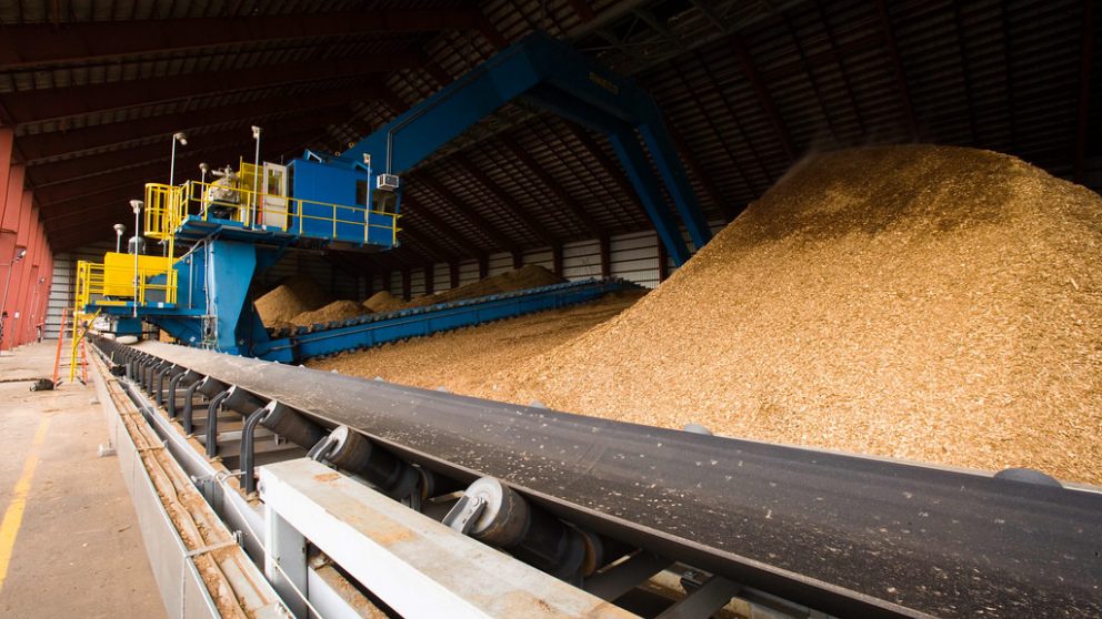 What is 'biomass' and what is it used for in Wisconsin? – Forest Data ...